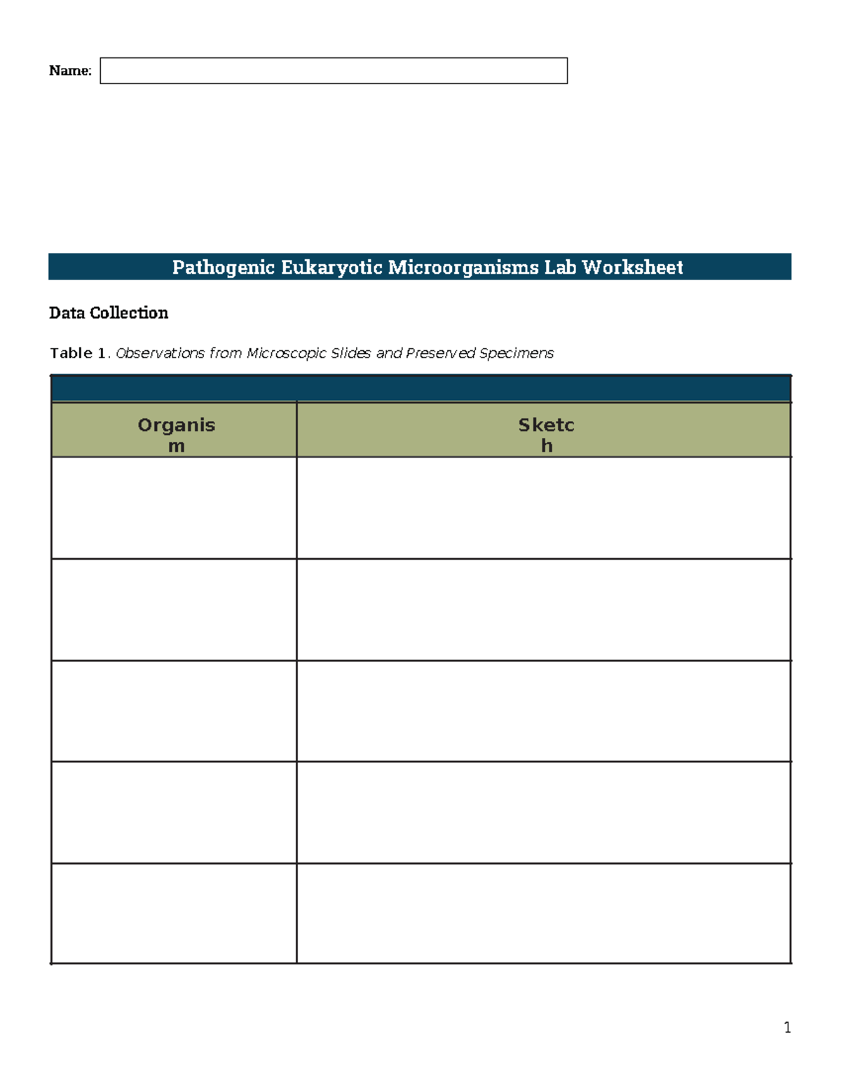 Bio205 Pathogenic Eukaryotic Microorganisms Lab Worksheet - Studocu