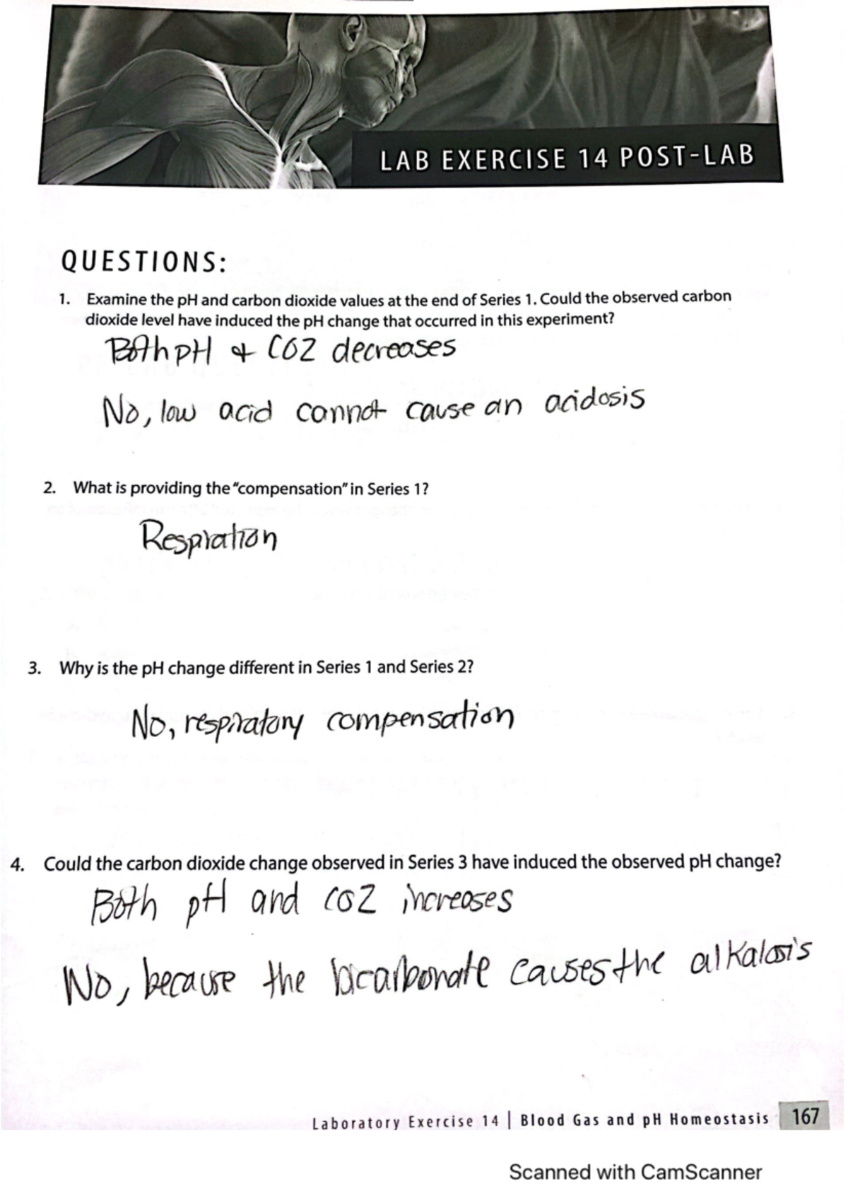 LAB EXERCISE 14: Blood Gas & pH Homeostasis Analysis (2022) - Studocu
