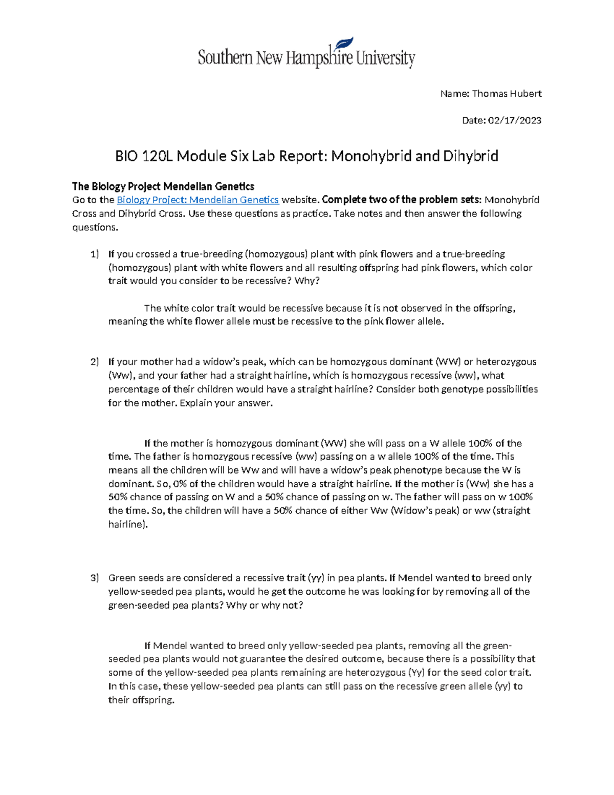BIO 120L Final Lab Report: Monohybrid & Dihybrid Crosses Analysis - Studocu