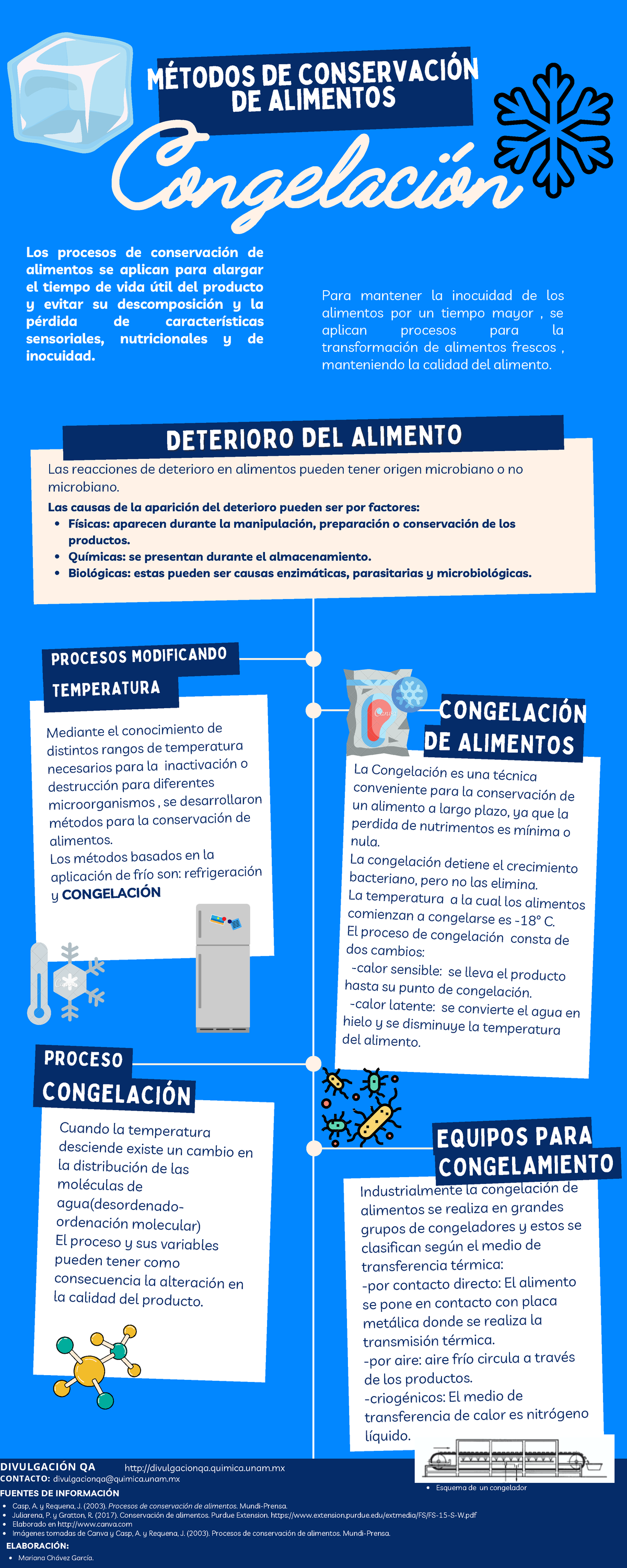 Proceso de Congelación de Alimentos: Técnicas y Conservación - Studocu