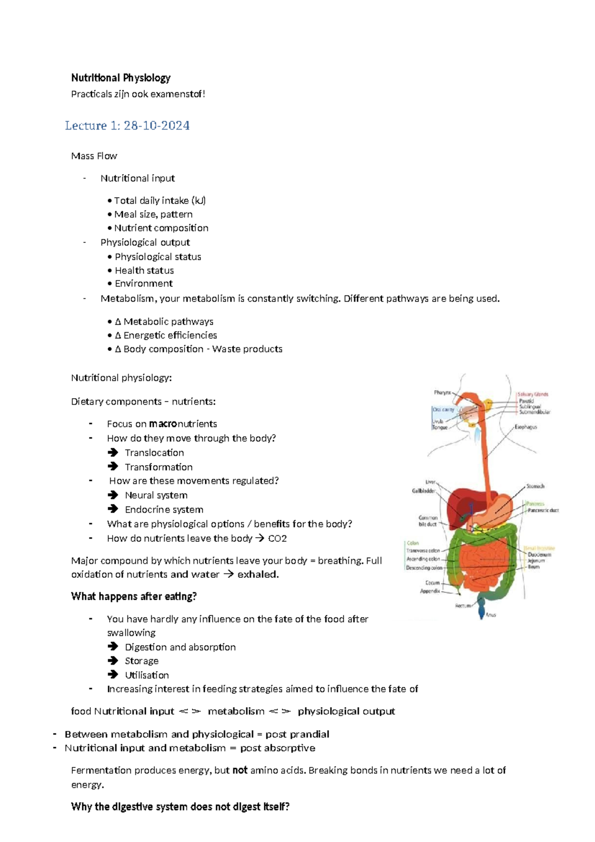 Nutritional Physiology Lecture Notes - Complete Guide (NUTR-101 ...