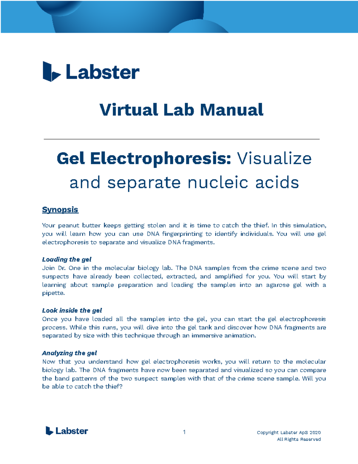 Virtual Lab Manual: Gel Electrophoresis in Nucleic Acid Analysis - Studocu