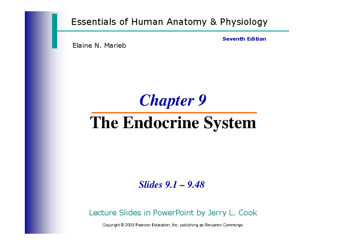 Endocrine System - Essentials of Human Anatomy & Physiology Seventh ...