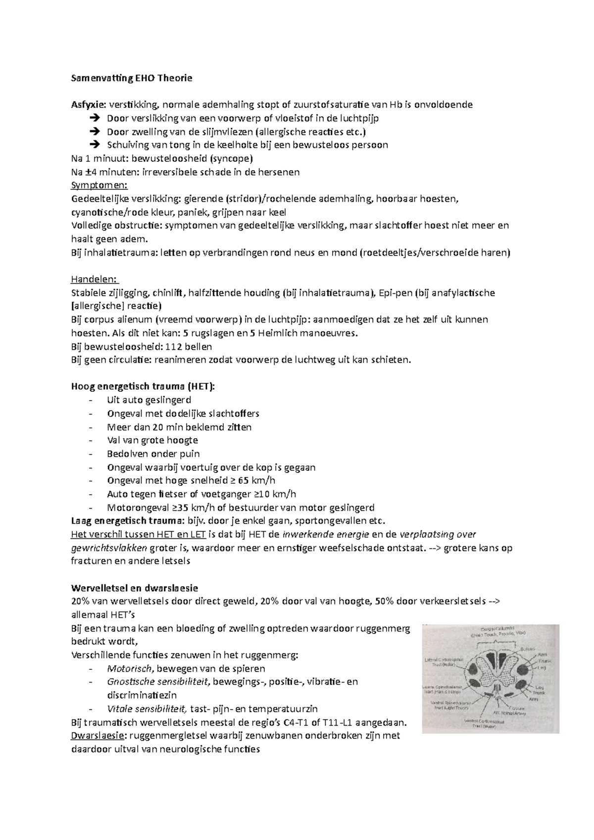 Samenvatting EHO Theorie: Asfyxie, Trauma en Schok Behandelingen ...
