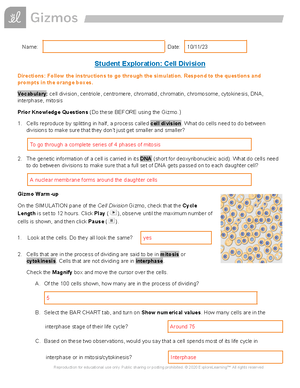 Mouse Genetics SE answer key - Student Exploration: Mouse Genetics (One ...