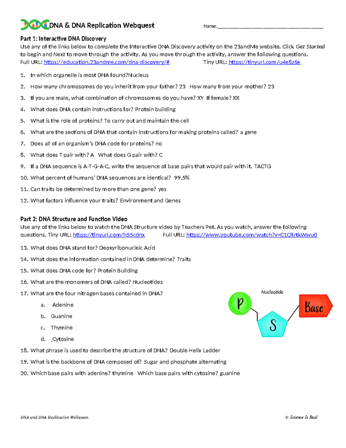 - DNA and DNA Replication Webquest - DNA & DNA Replication Webquest ...