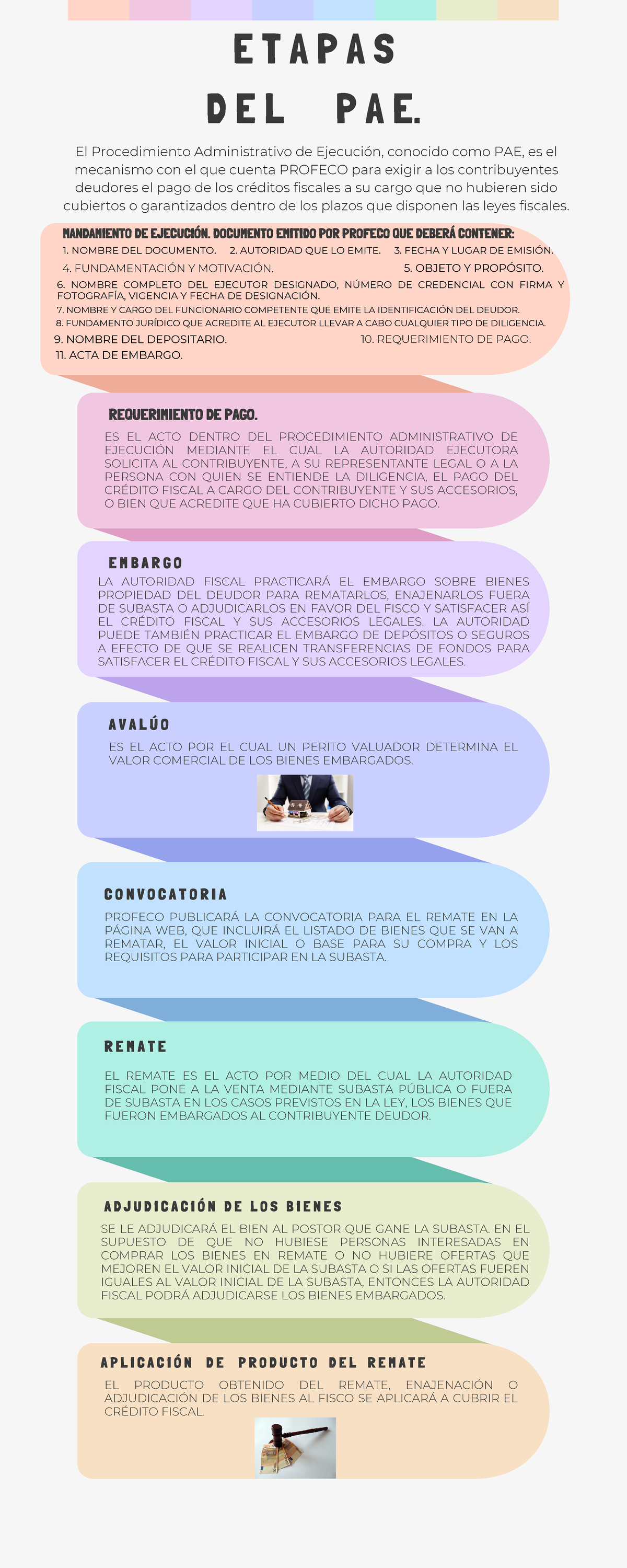 Etapas DEL PAE - EL PRODUCTO OBTENIDO DEL REMATE, ENAJENACIÓN O ...