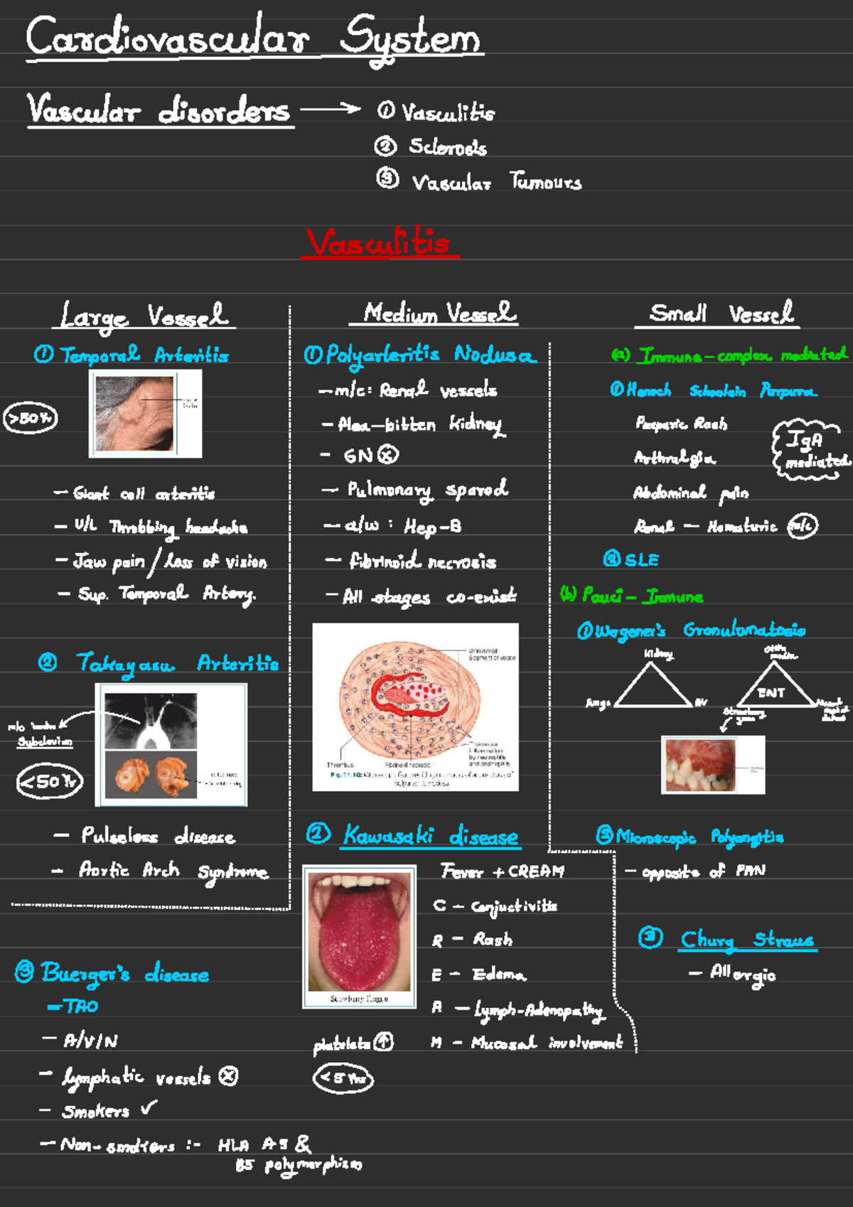 CVS-Pathology: Vascular Disorders, Vasculitis, and Atherosclerosis ...