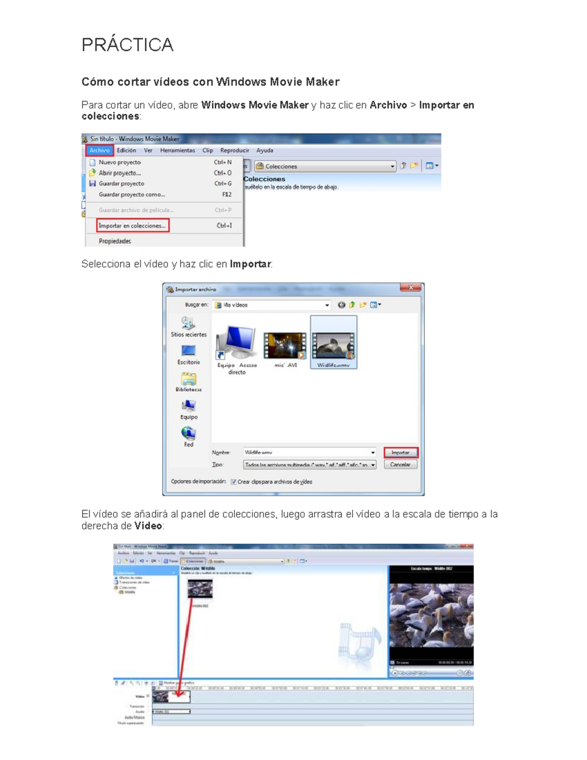 Práctica - elaboracion de material para capacitacion windows movie ...