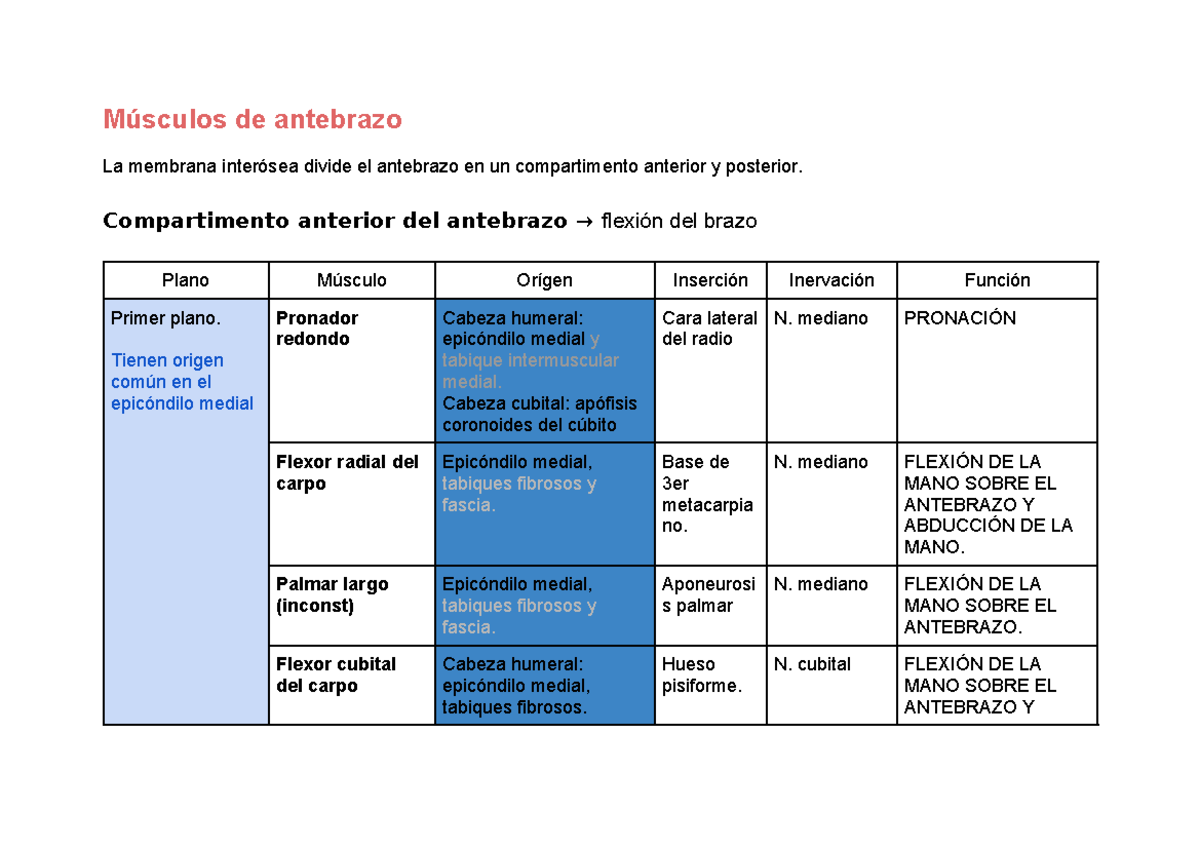 Músculos del antebrazo - Músculos de antebrazo La membrana interósea ...