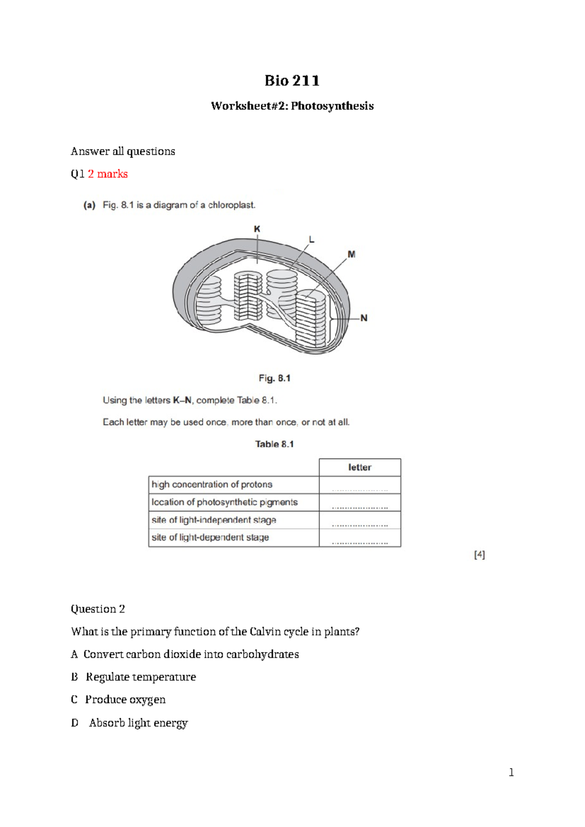 Worksheet Photosynthesis 0cdfddeb 846c3254477 e5ea7439a331c - Bio 211 ...