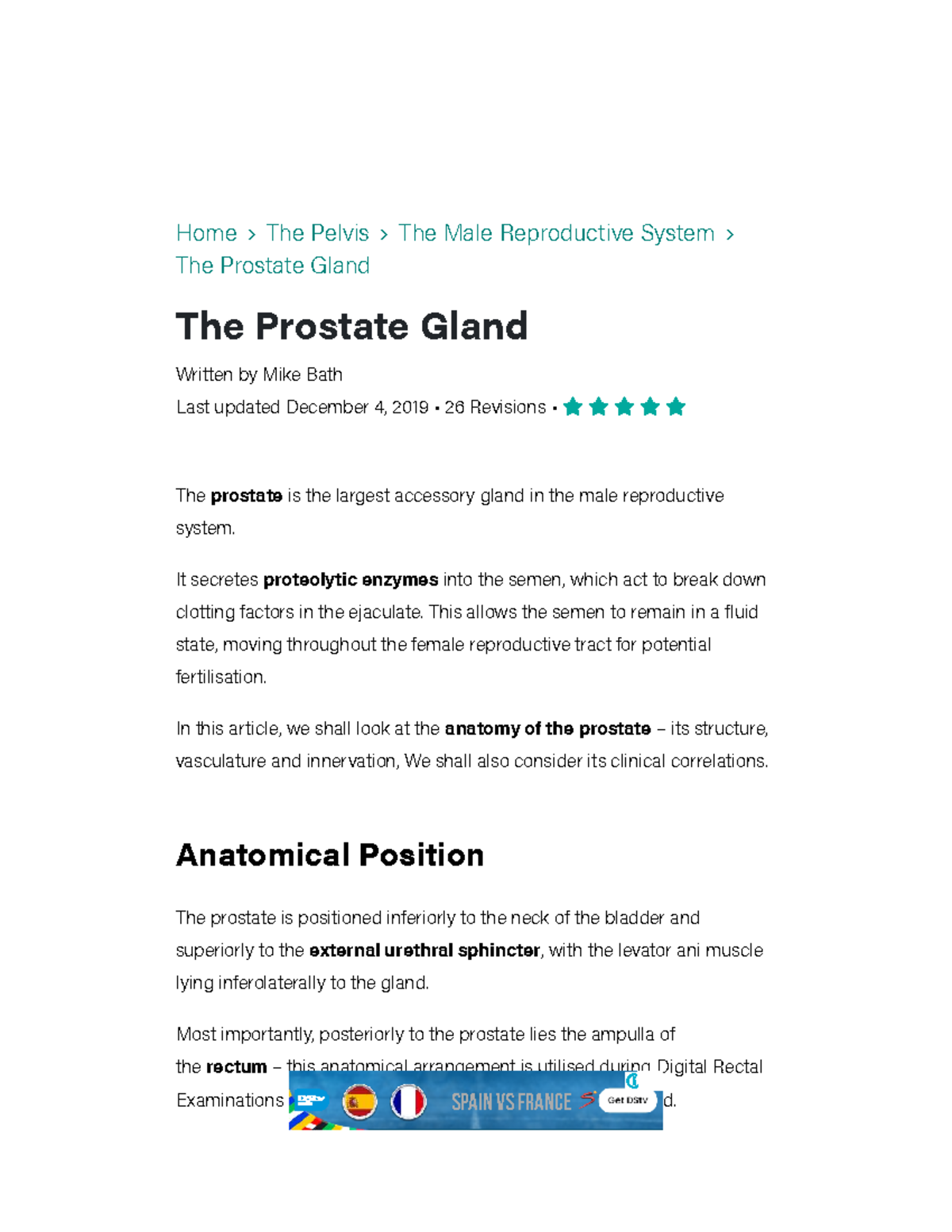 The Prostate Gland: Structure, Vasculature & Clinical Relevance (ANAT ...