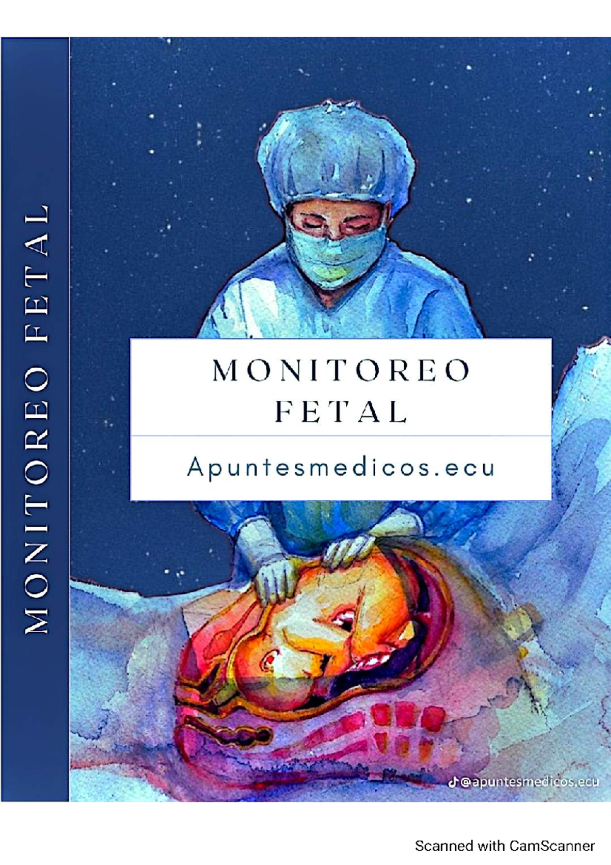 MONITOREO FETAL: Parámetros y Evaluación Clínica - Apuntes Médicos ...