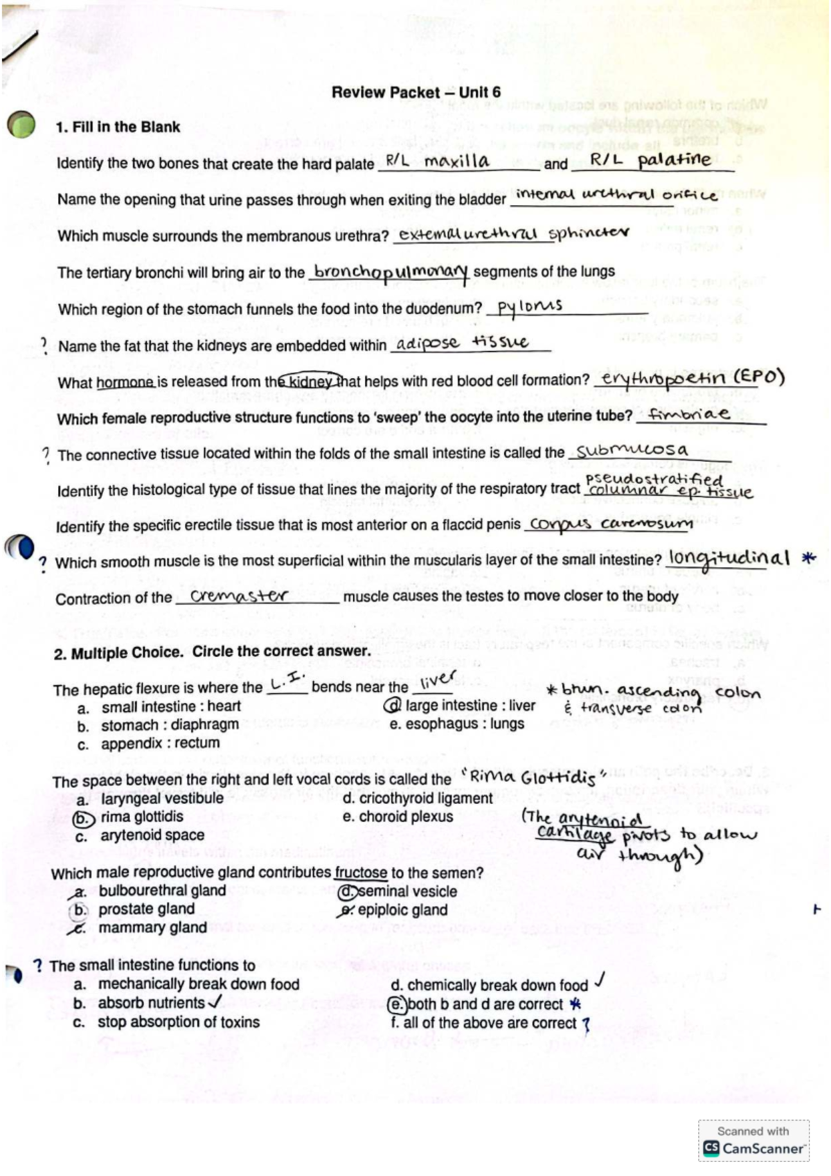Unit 6 Review Packet: Anatomy & Physiology Key Concepts - Studocu