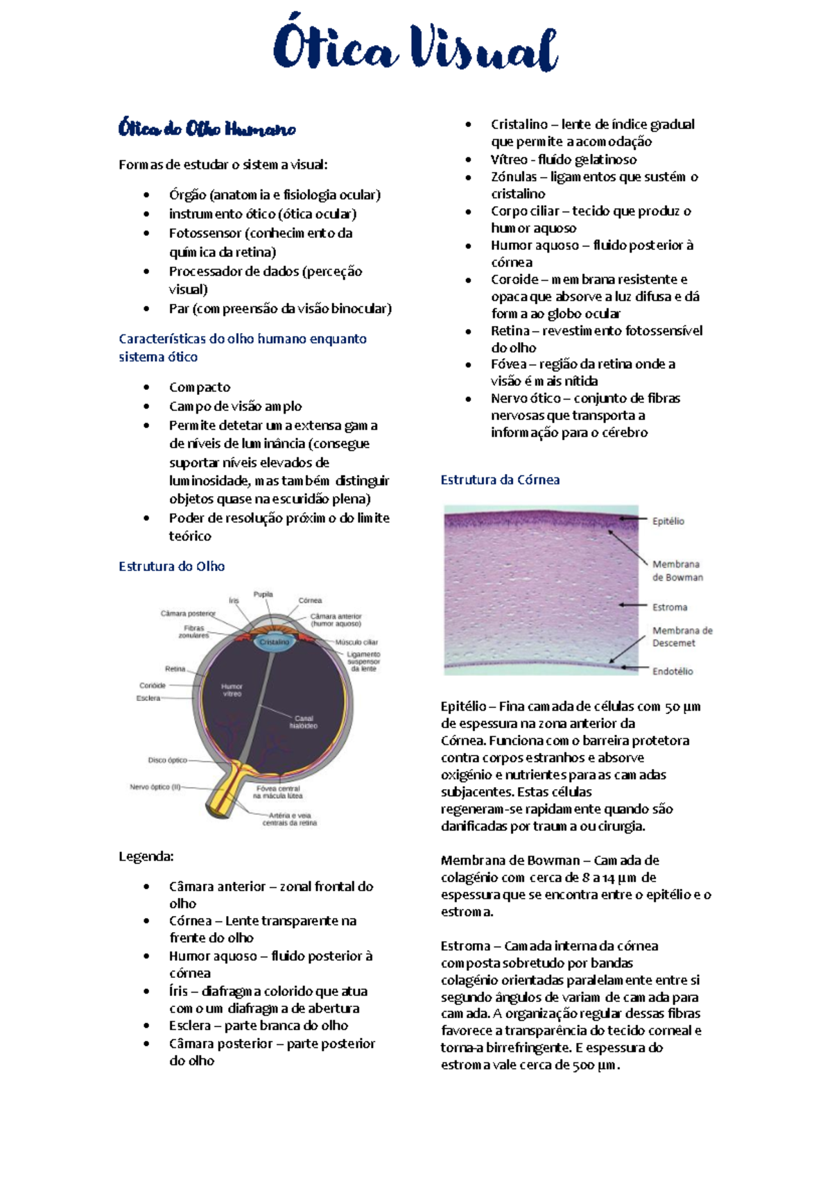 Resumos Ótica Visual 1 - Ótica do Olho Humano Formas de estudar o ...