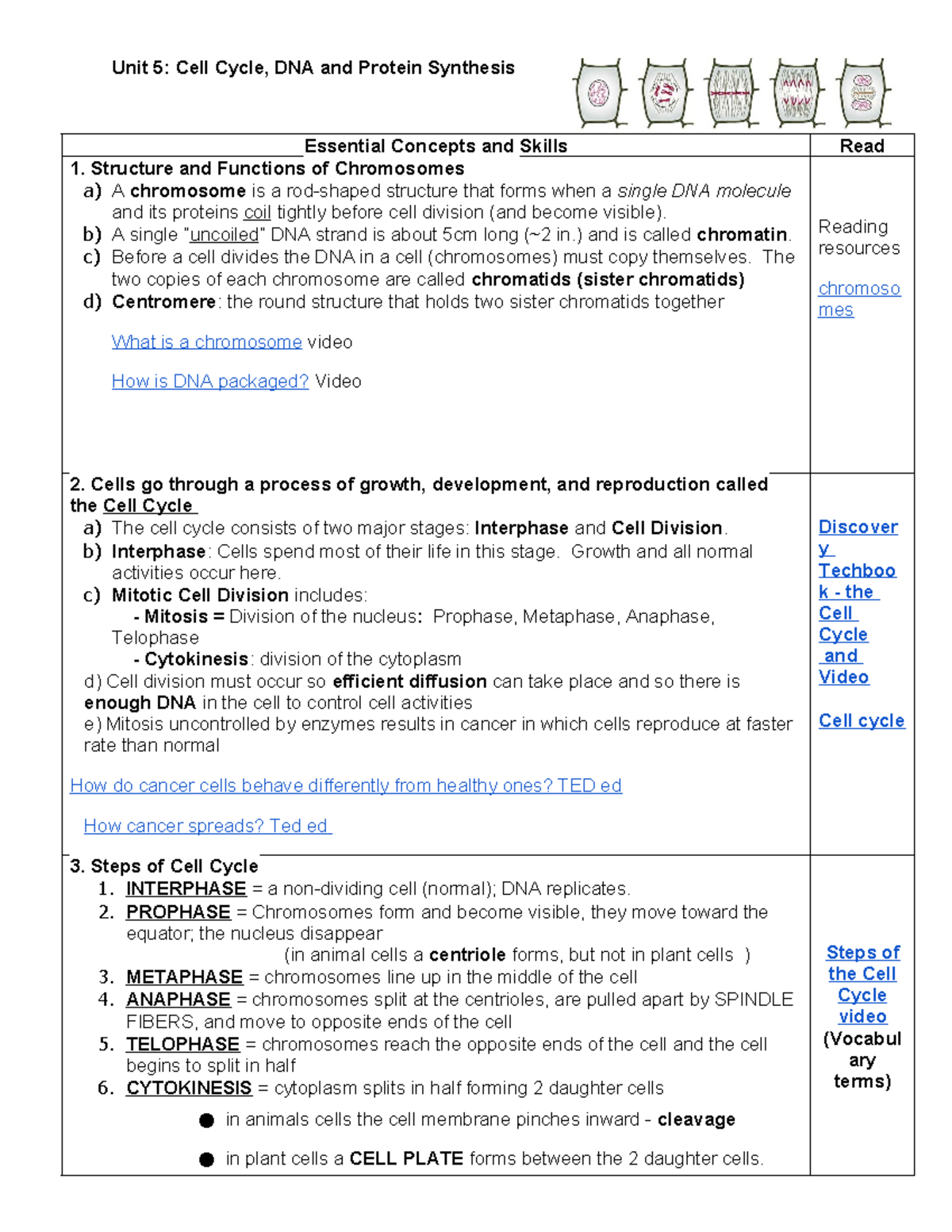 Unit 5: Cell Cycle, DNA & Protein Synthesis Overview and Key Concepts ...