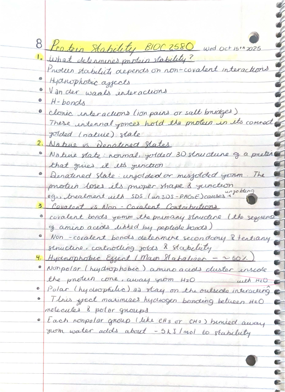 Protein Stability Overview - BIOC 2580 - Studocu