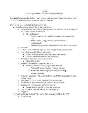 PSY 101 Study Guide: Key Concepts from Ch. 7-8 on Memory & Cognition - Studocu