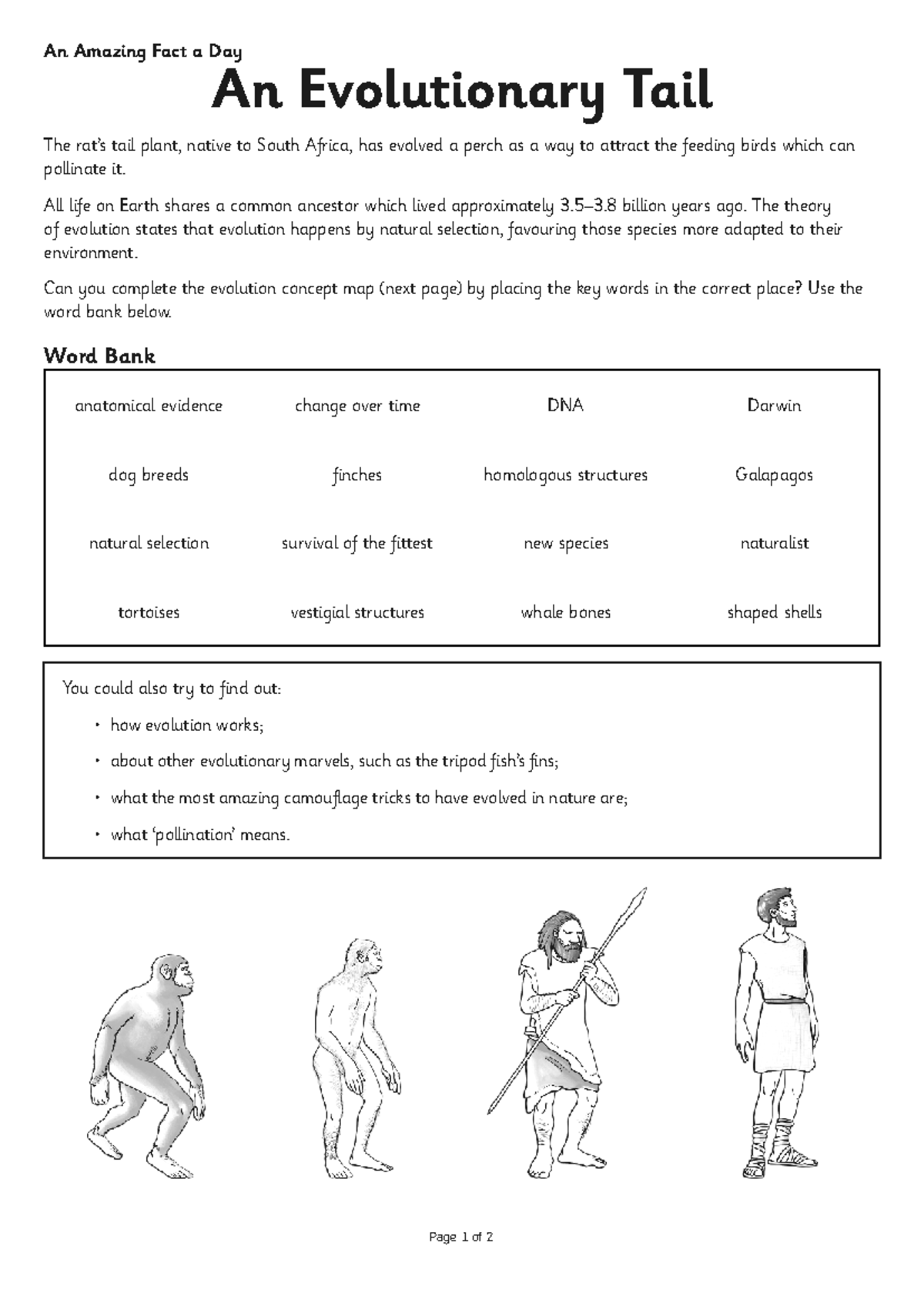 WS Biology 10TH - Evolution Concept Map & Key Terms - Studocu