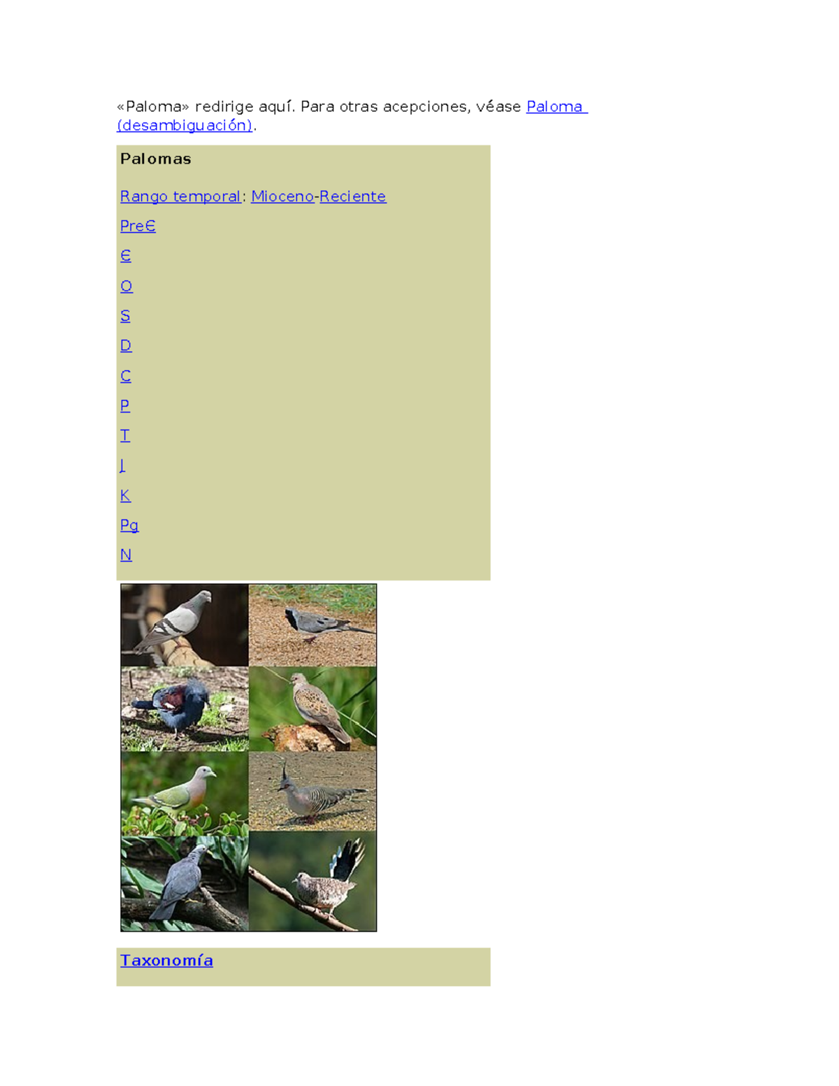 Estudio sobre las Palomas: Taxonomía, Distribución y Comportamiento ...