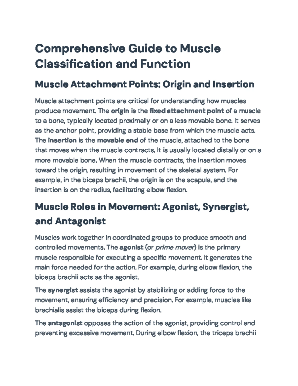 Muscle Classification and Fascicle Organization - Chapter 11 Notes ...