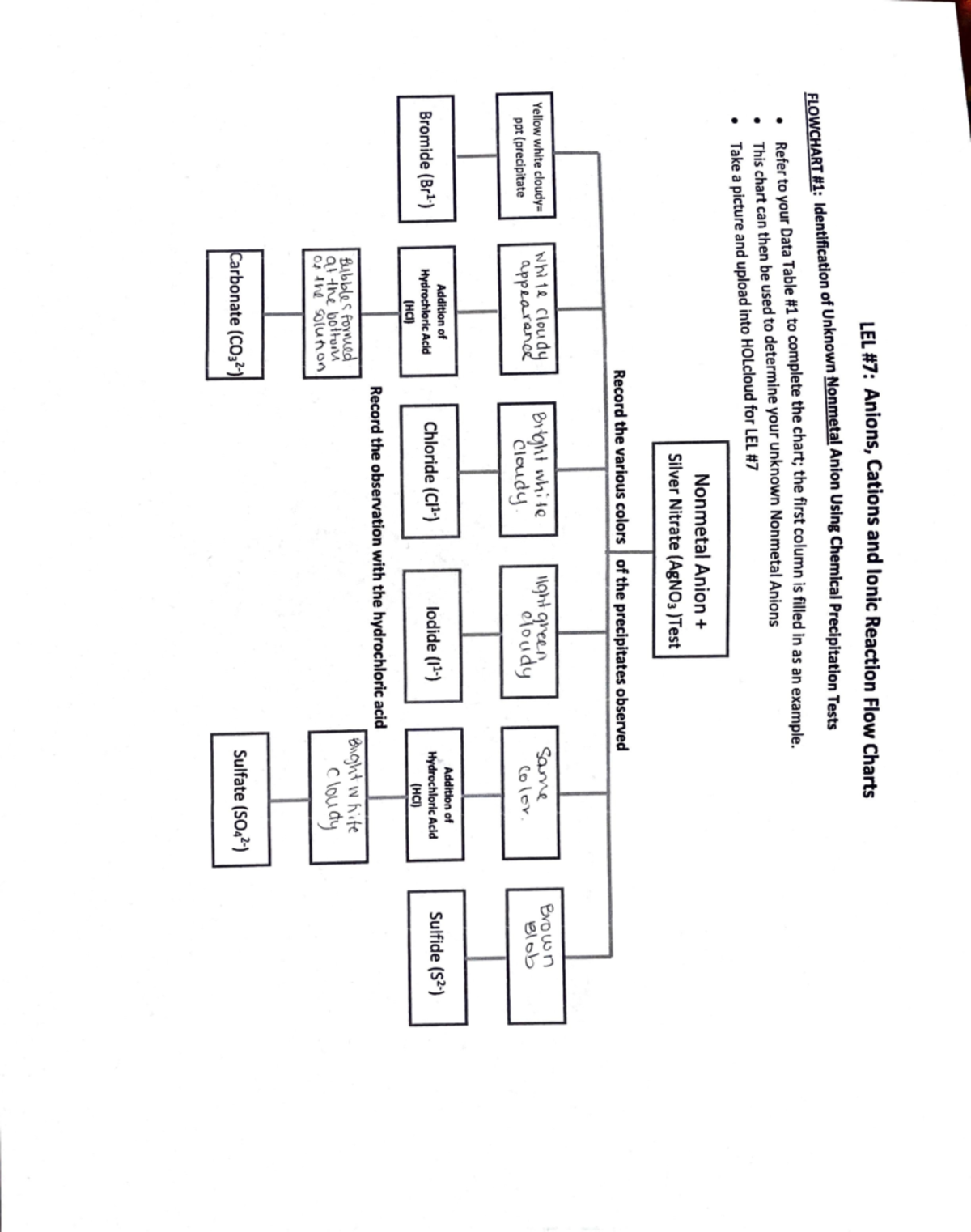 LEL #7: Anion and Cation Reaction Flow Charts for Identification - Studocu
