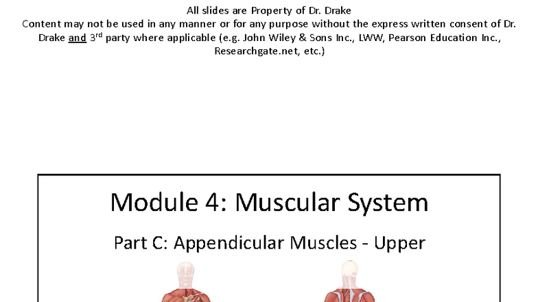 Muscular System Part C: Appendicular Muscles Overview - Studocu