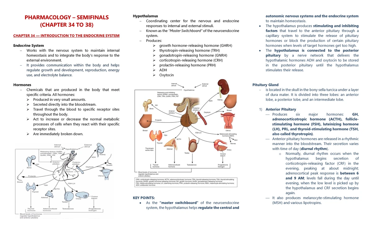 ICH Guidelines: Safety Pharmacology Studies & Test Systems Overview ...