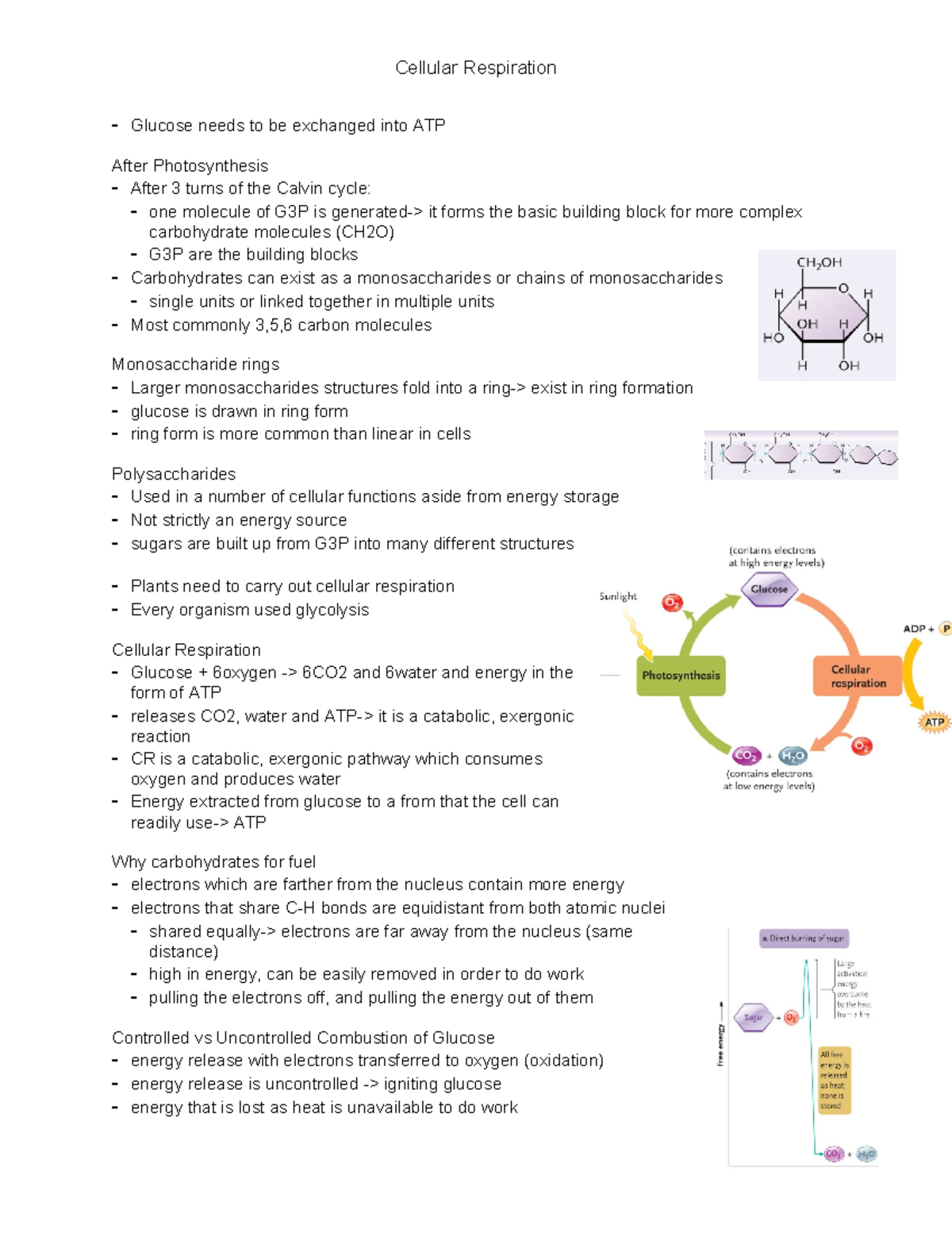 Cellular respiration notes - Glucose needs to be exchanged into ATP ...