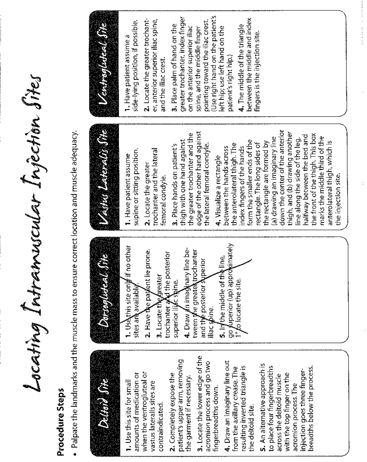 Intramuscular Injection Sites: Techniques and Landmarks Guide - Studocu