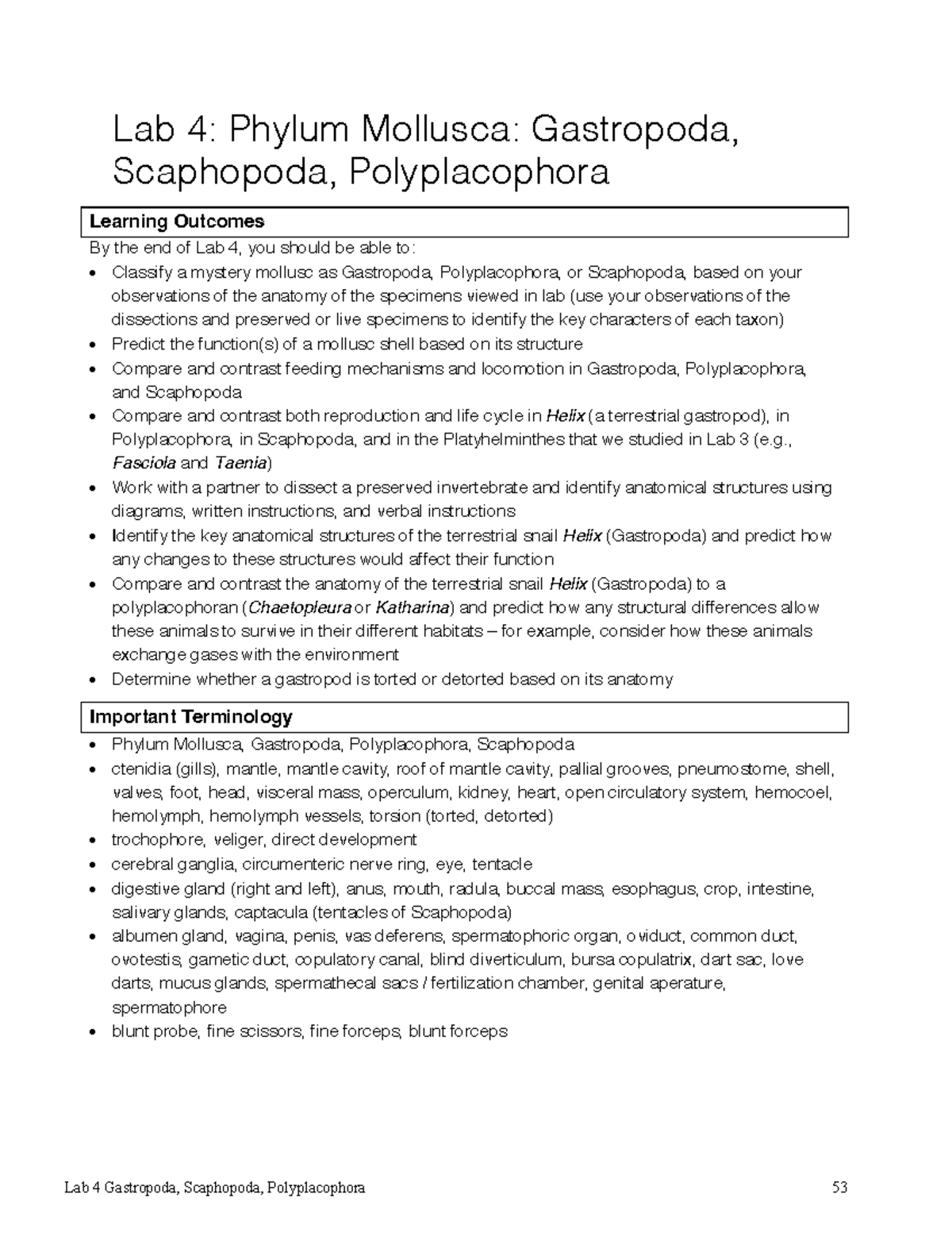 Lab 4: Exploring Phylum Mollusca - Gastropoda, Scaphopoda, Polyplacophora - Studocu