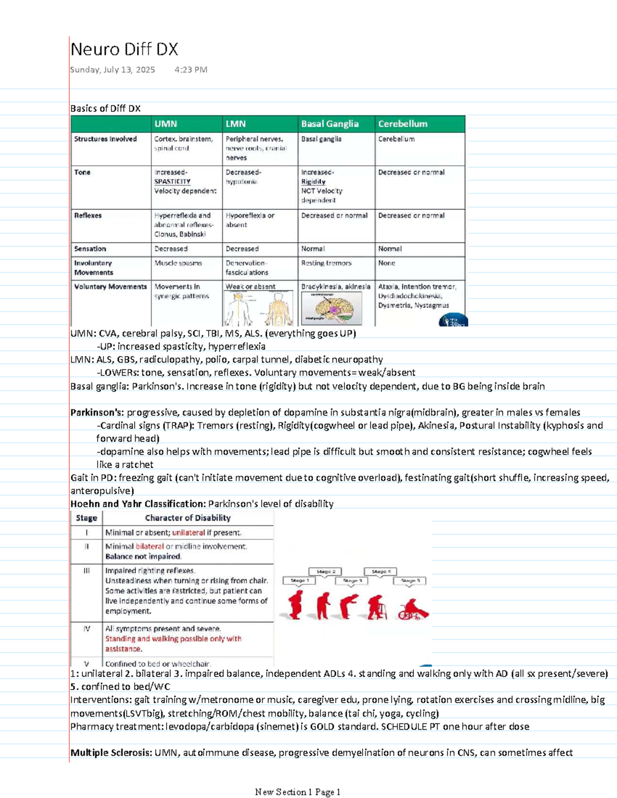 Differential Diagnosis Of Neurological Disorders Umn Lmn Conditions