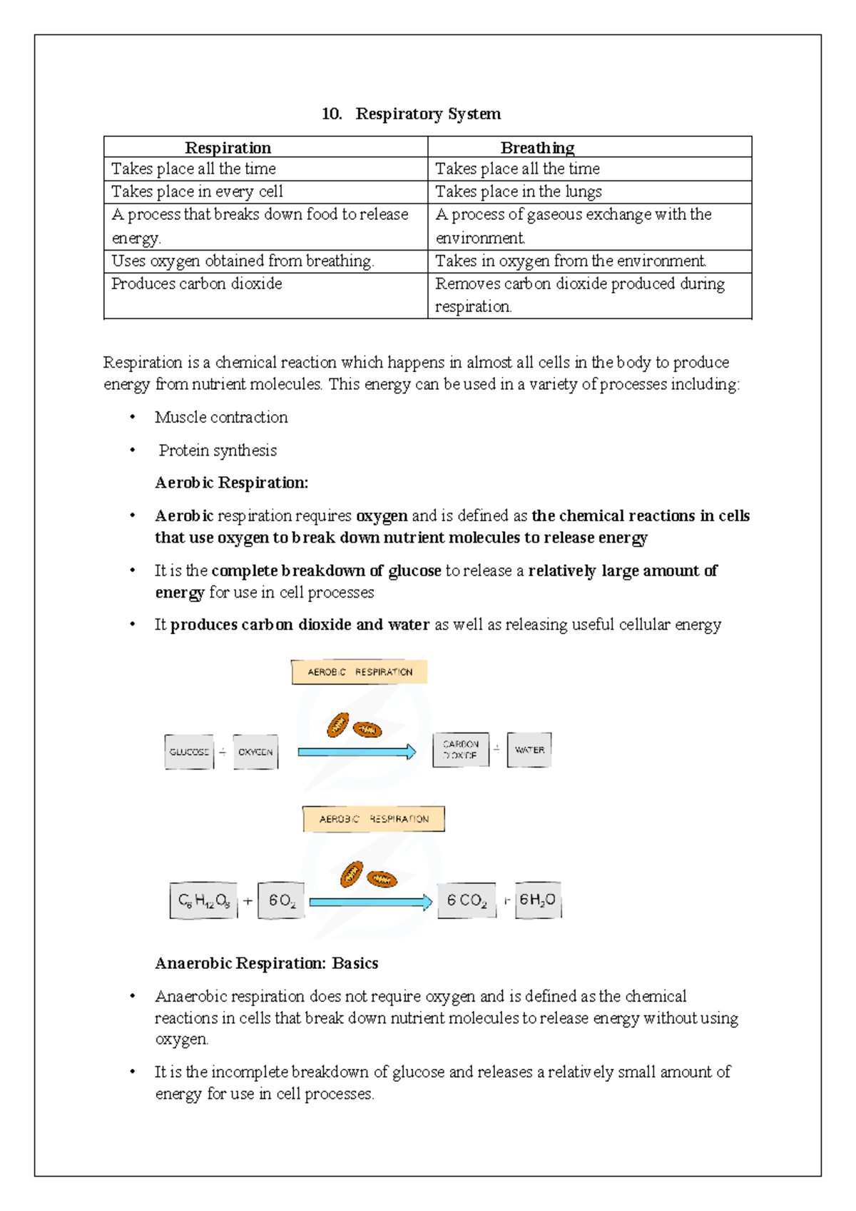 Grade 7 Respiratory System: Key Notes on Respiration Processes - Studocu