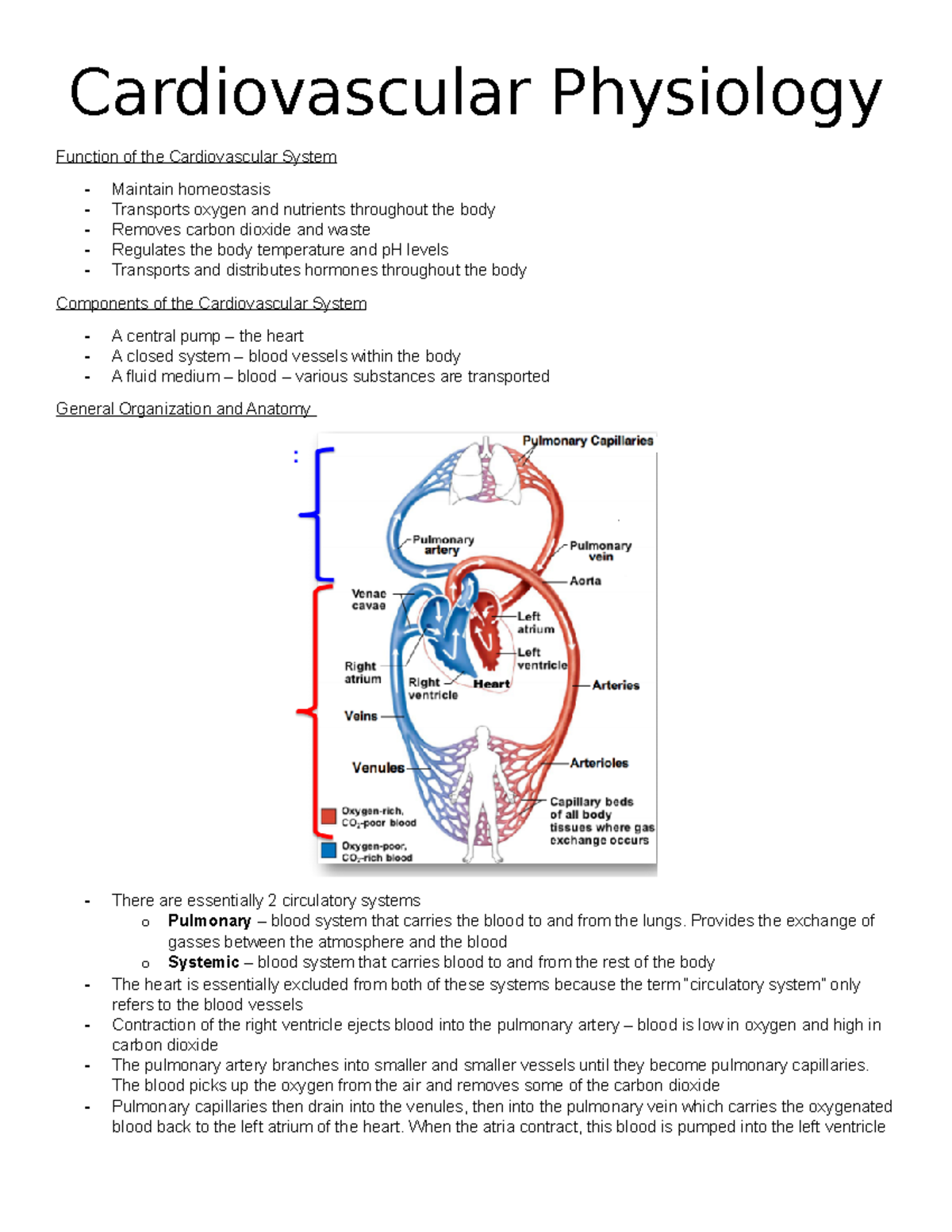 4 - Cardiovascular Physiology - Cardiovascular Physiology Function of ...