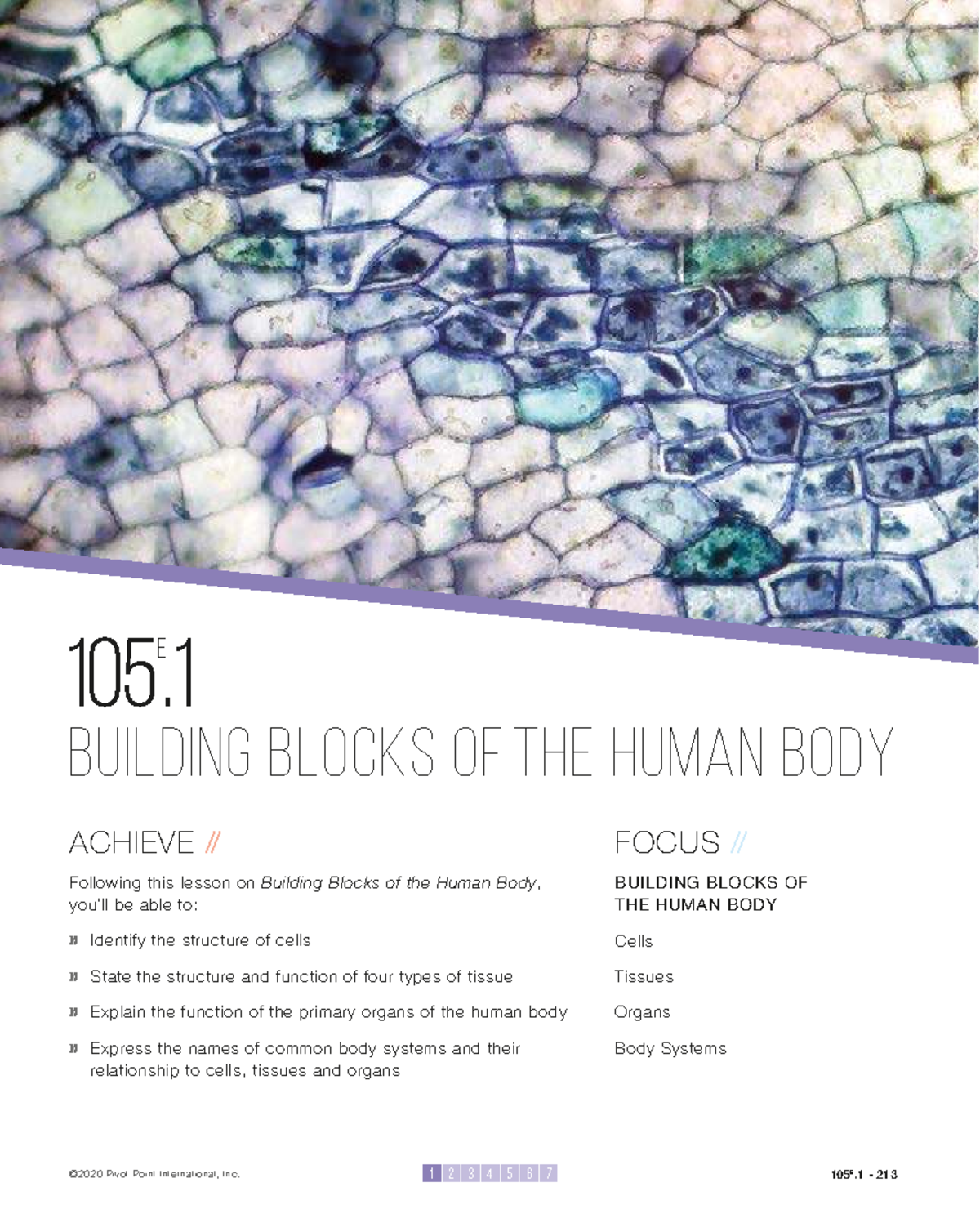 105E.1 Building Blocks of the Human Body: Smart Notes - Studocu