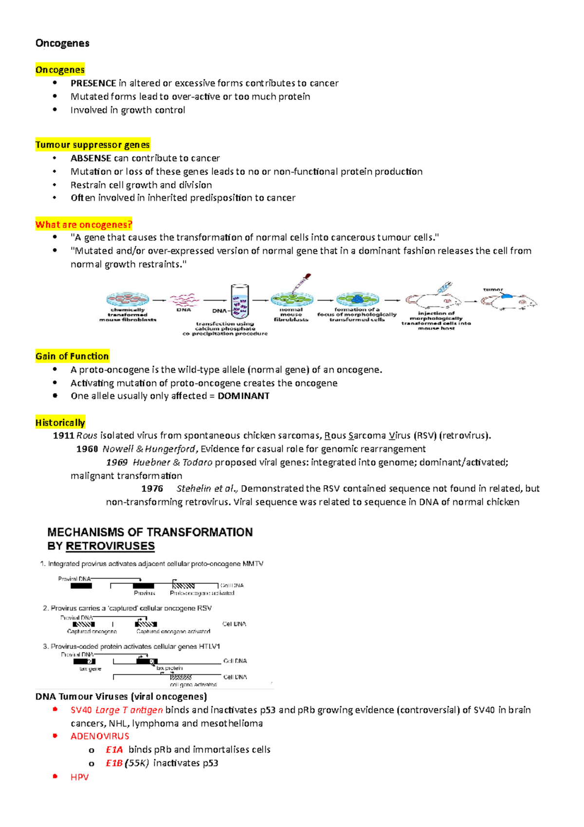 Oncogenes Lecture Notes Understanding Tumor Genetics And Functions