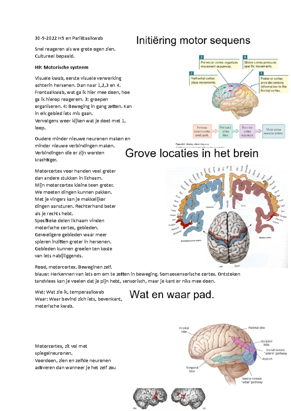 30-9-2022 H9 en Pariëtaalkwab - 30-9-2022 H9 en Pariëtaalkwab Snel reageren als we grote ogen ...