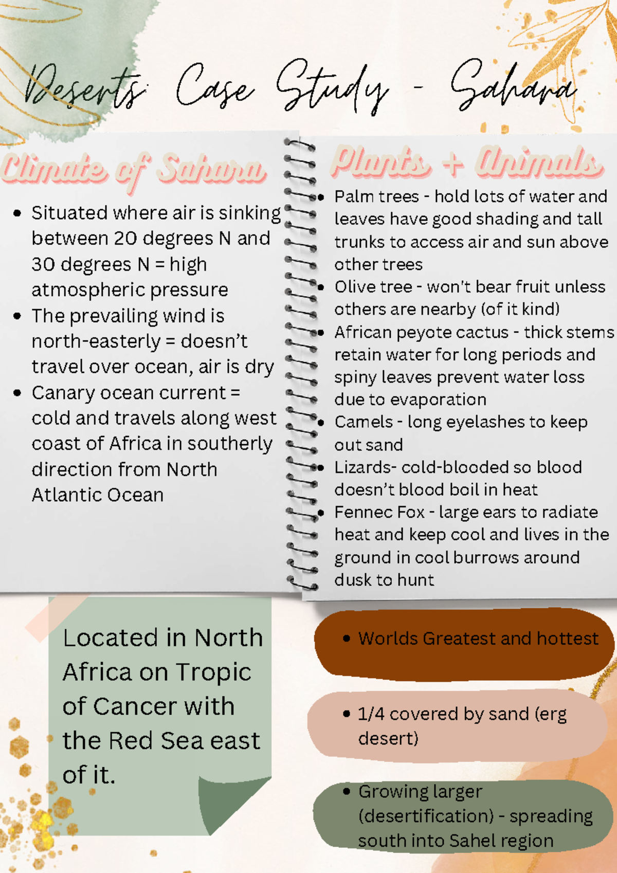Sahara Desert Case Study: Climate, Flora, and Fauna Insights - Studocu