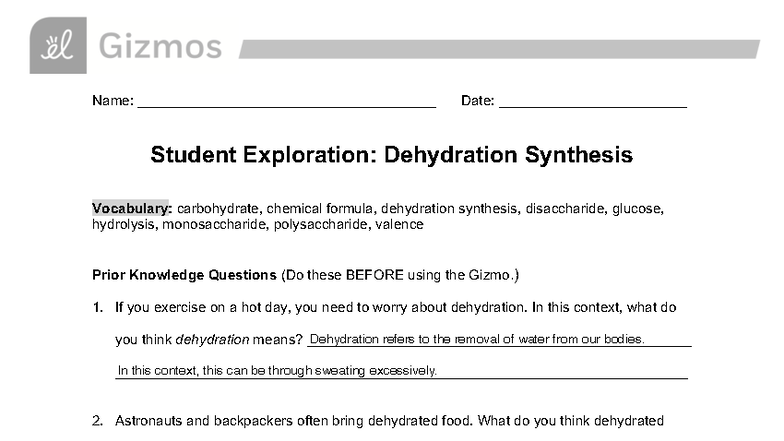 Dehydration Synthesis SE: Exploring Carbohydrates and Hydrolysis - Studocu