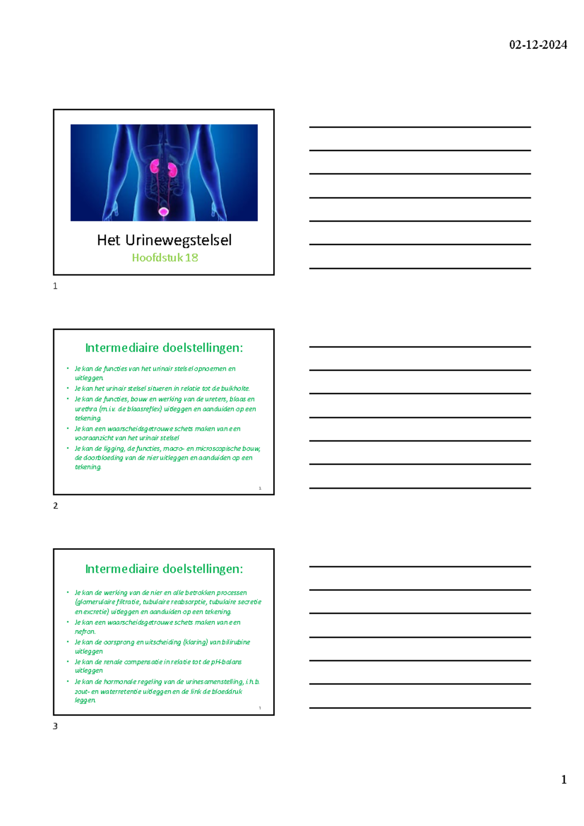 5 Het urinair stelsel 2023 - Het Urinewegstelsel Hoofdstuk 18 1 ...