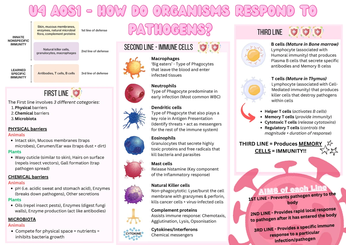 Pathogen Barriers: Physical, Chemical & Microbiota Defenses Explained ...