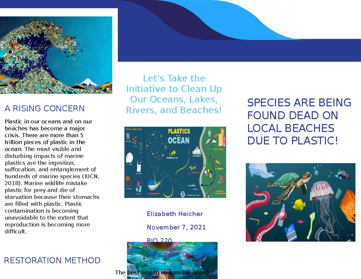BIO 220 Restoration Method: Ocean Cleanup Initiative Pamphlet - Studocu