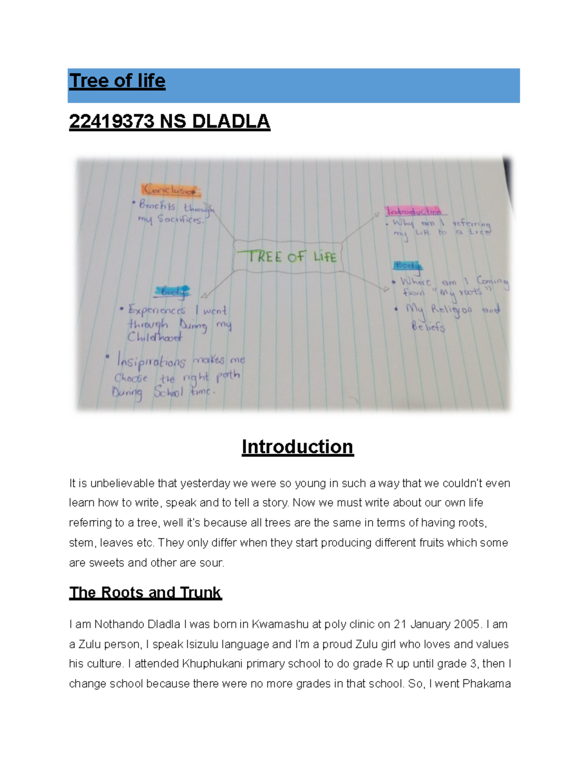 Tree of Life Reflection - Assignment 22419373 by Nothando Dladla - Studocu