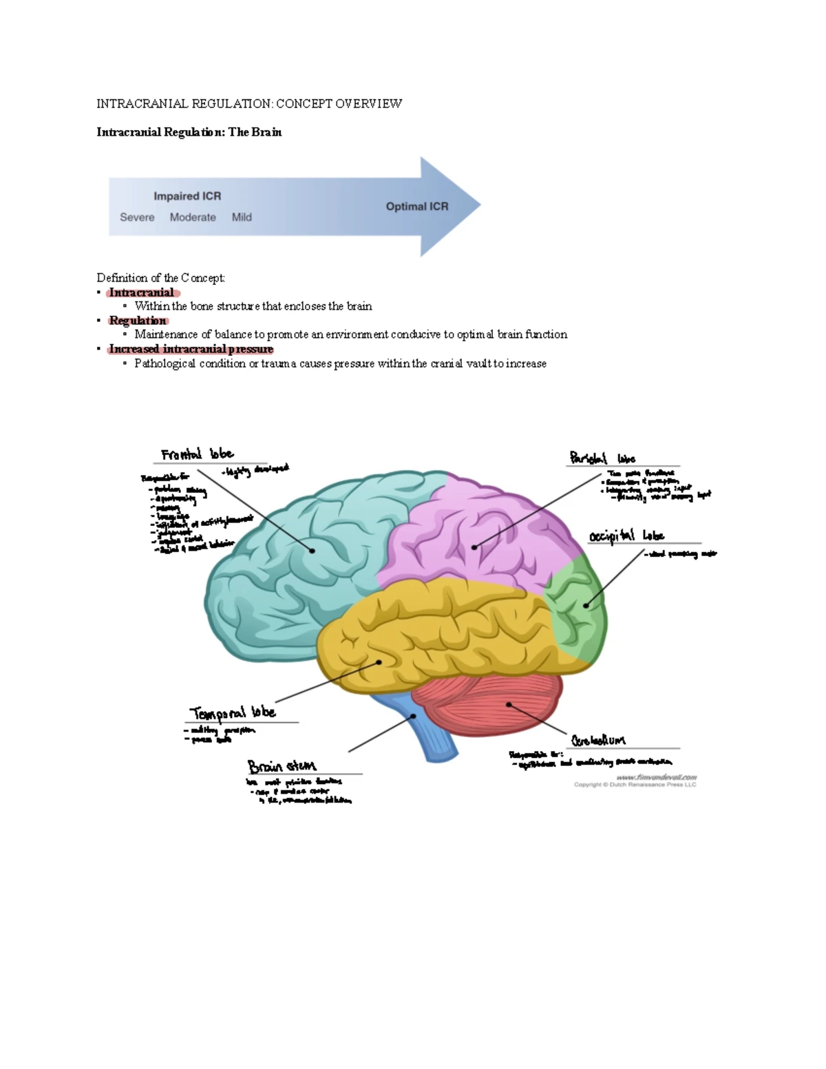 Week 13 Lecture Notes - Cellular Regulation: Concept overview ...