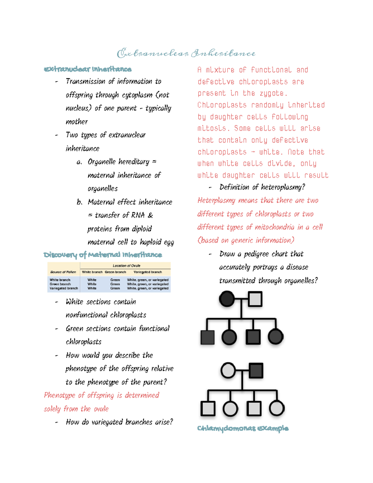 Chapter 9 Extranuclear Inheritance - Extranuclear Inheritance ...