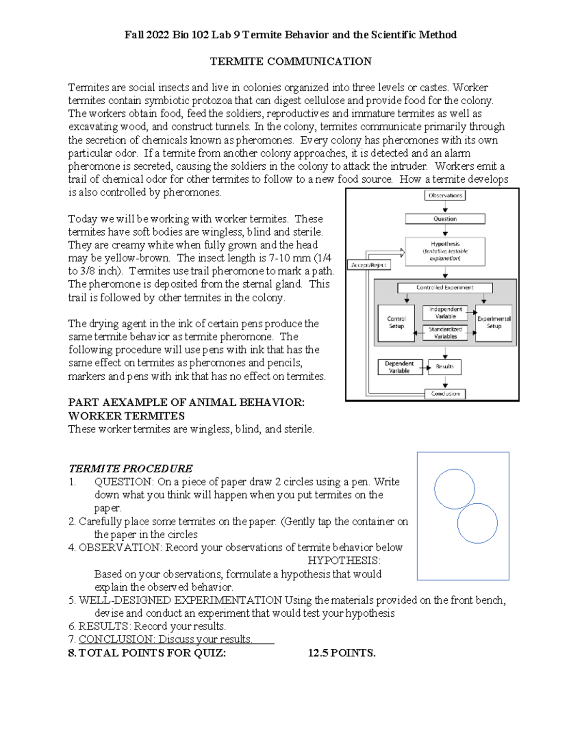 Fall 2022 Bio 102 Lab 9: Termite Behavior & Communication Study - Studocu