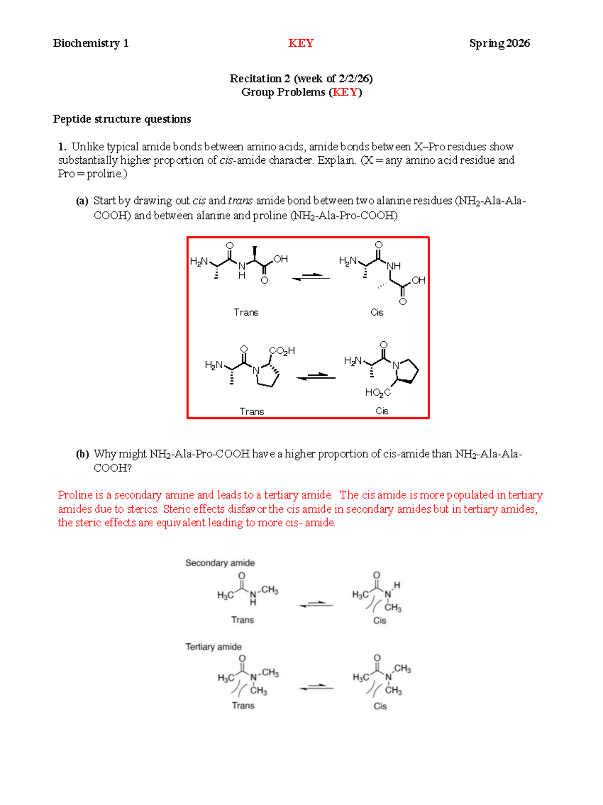 B1 Recitation 2 KEY Spring 2026: Peptide Structure & Dihedral Angles ...