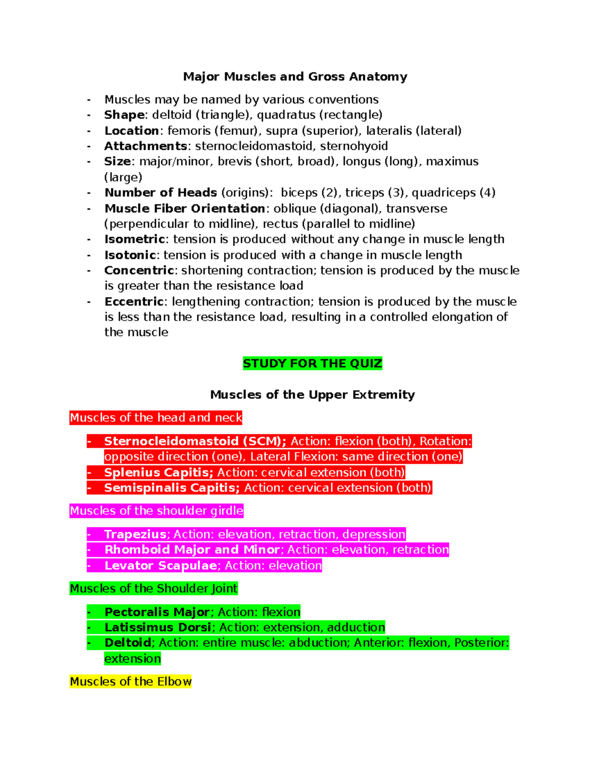 Muscle Anatomy Overview for Quiz: Major Muscles and Functions - Studocu