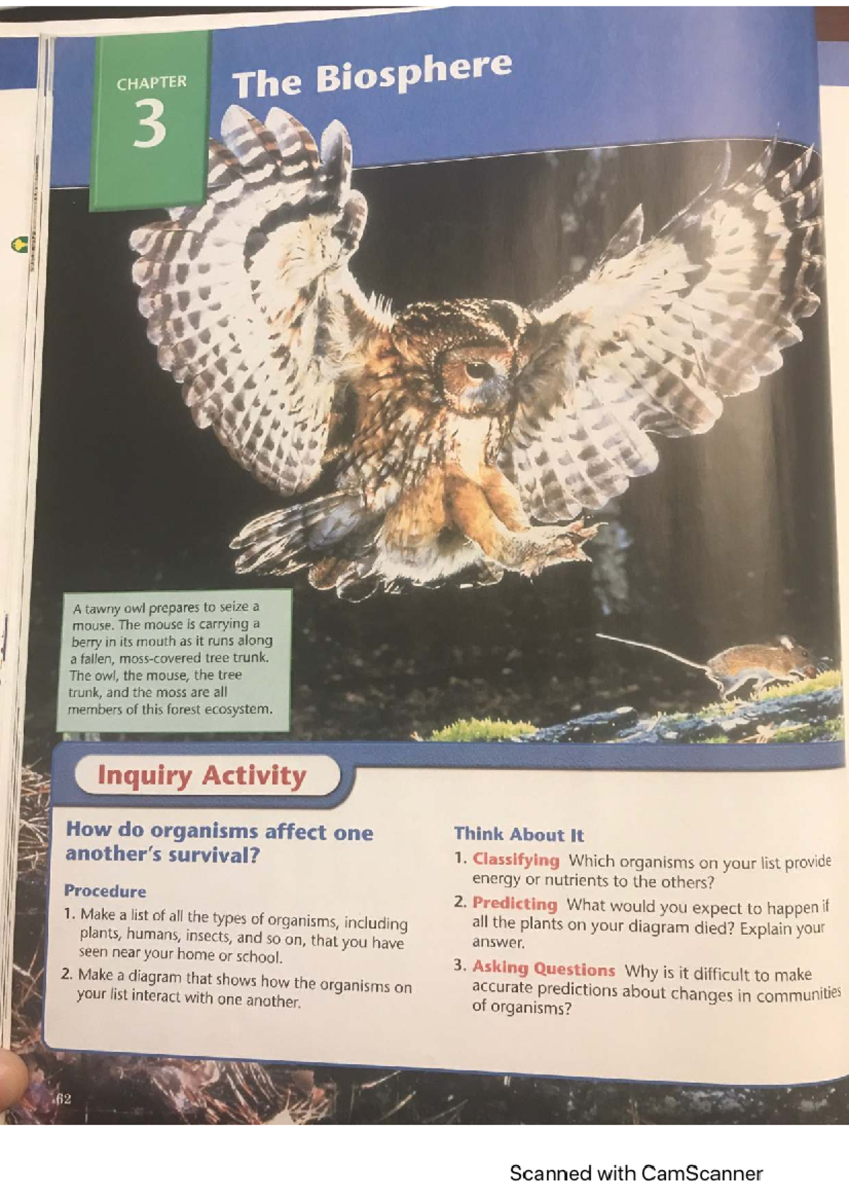 CHAPTER 3: The Biosphere - Understanding Ecosystems and Energy Flow ...