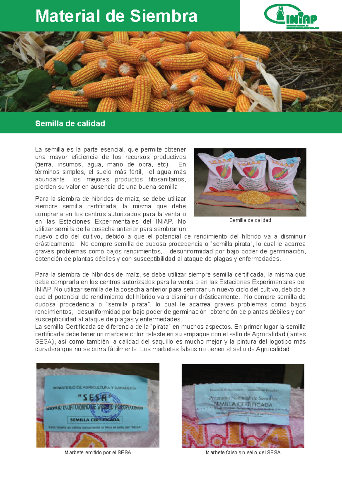 Semilla - espero le sirva - Material de Siembra La semilla es la parte ...